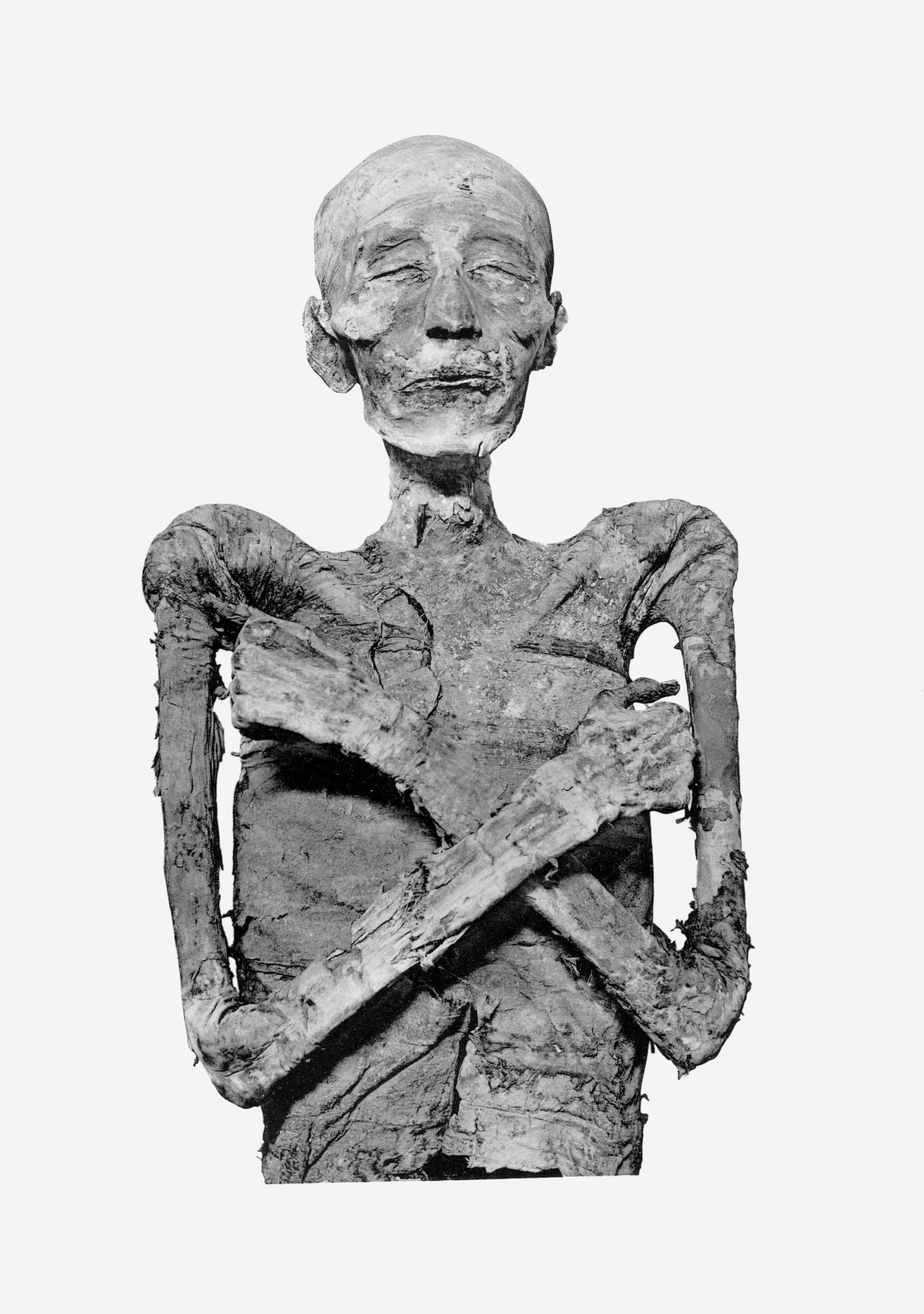 Merneptah_mummy | Henry Abramson